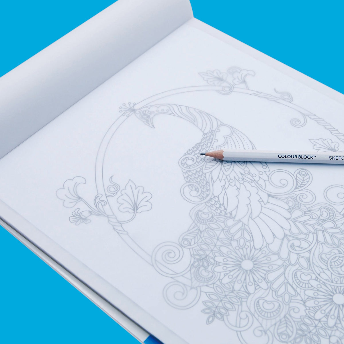 Tracing Paper Drawing